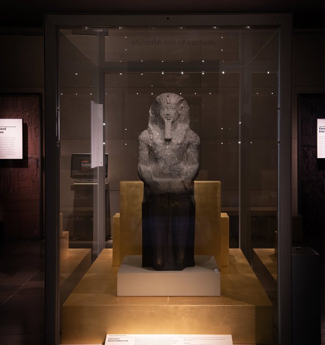 Ancient Egypt gallery | What's on | Great North Museum: Hancock