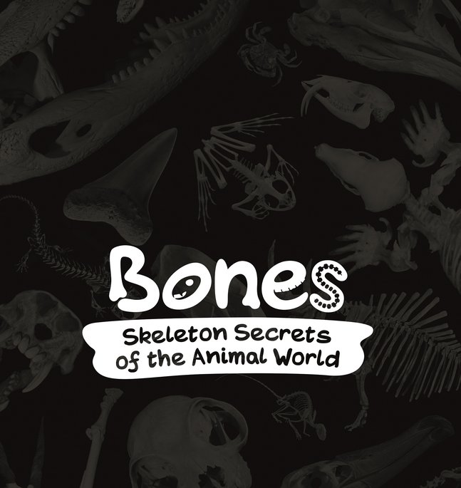 Bones: Skeleton Secrets of the Animal World | What's On | South Shields ...