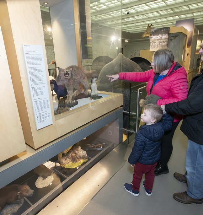 Relaxed Early Opening | What's on | Great North Museum: Hancock