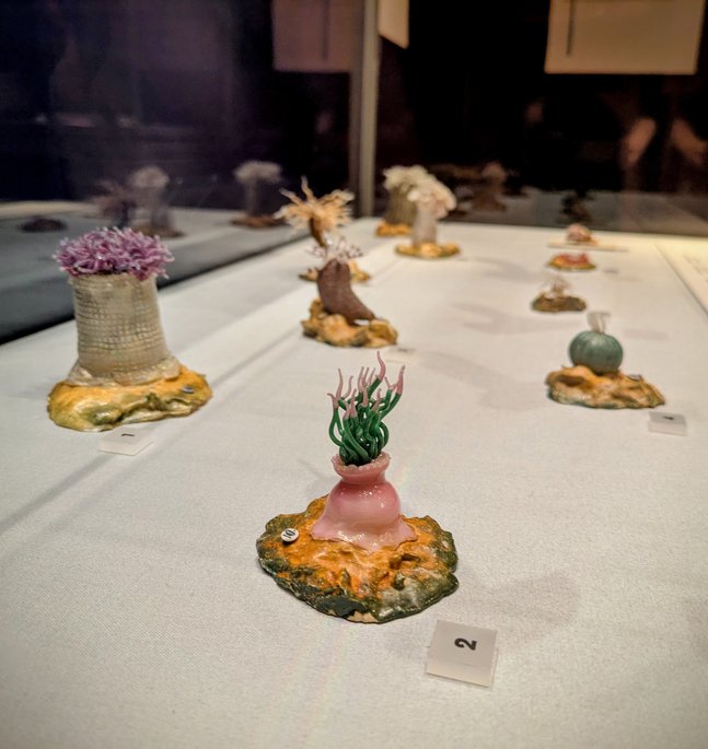 *Sold out* Create a Sea Creature Model Inspired by the Blaschka Glass ...