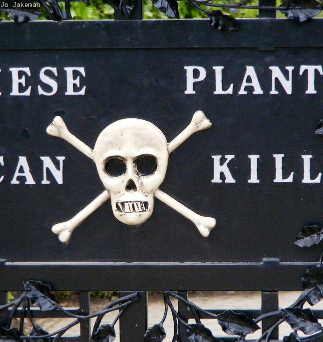 Pop-up Poison Garden and Gnome Trail with Alnwick Garden | What's on ...