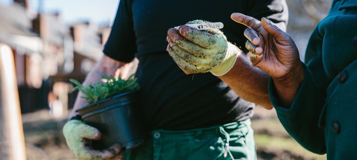 A Taste of the Wild - The Comfrey Project | What's On | Discovery Museum