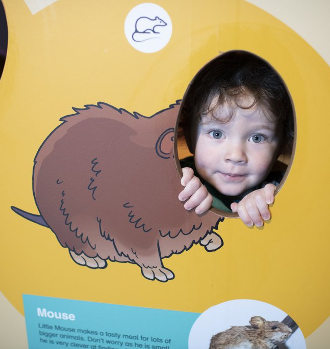 Mouse House | What's on | Great North Museum: Hancock