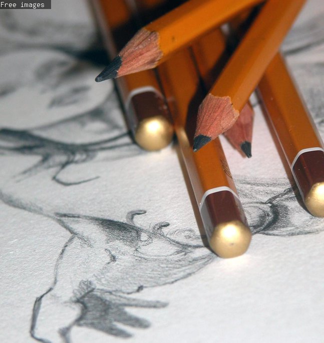 Explore Drawing | What's On | Laing Art Gallery