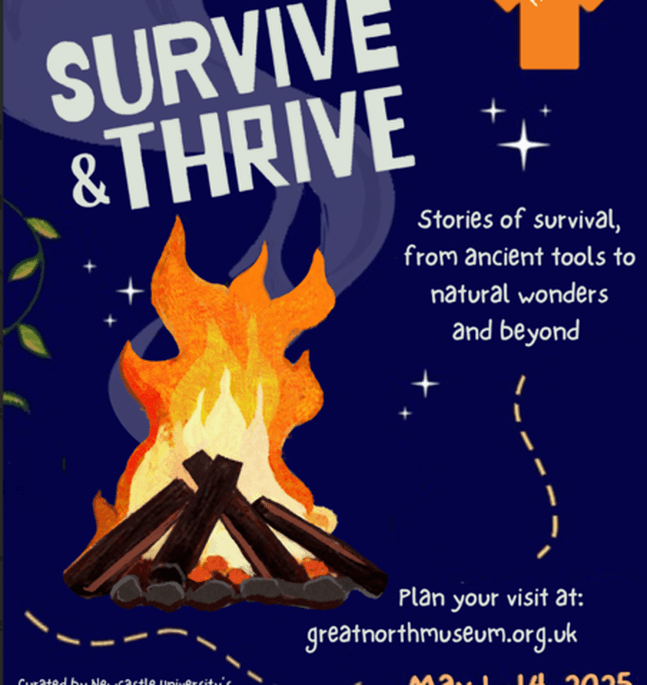 Survive and Thrive – An Object's Guide to Survival | What's on | Great ...